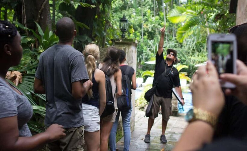 Nassau: Bites and Sites Food and Cultural Walking Tour - Introduction
