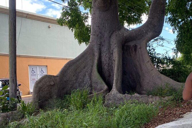 Nassau City Escape Transfer (One Way) - Frequently Asked Questions (FAQs)