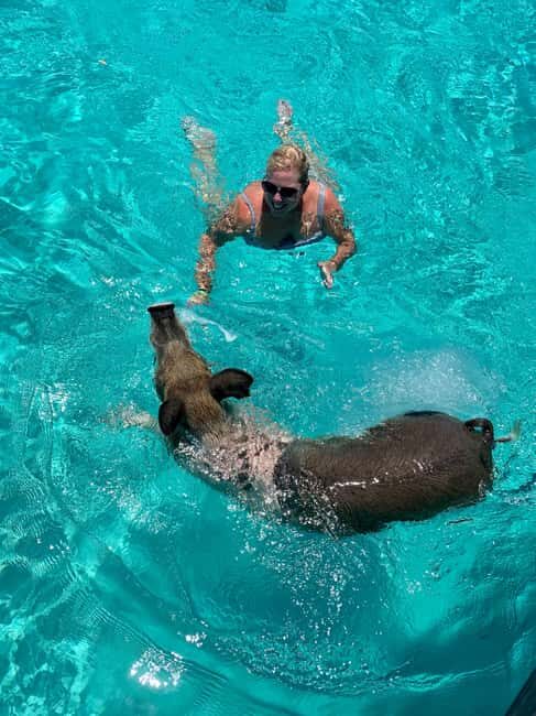 Nassau: Discover Exuma Island Hopping and Swimming Pigs Tour - Final Thoughts: Is It Worth It?