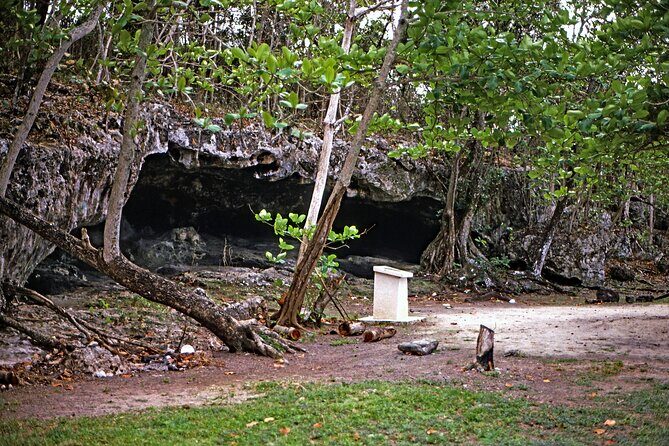 Nassau Express Private Tour: Forts, Parliament & Caves - Who Should Consider This Tour?