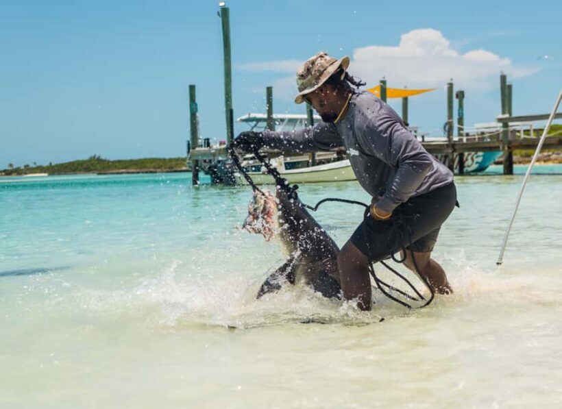 Nassau: Exuma Powerboat Day Trip - Final Thoughts: Who Will Love This Tour?