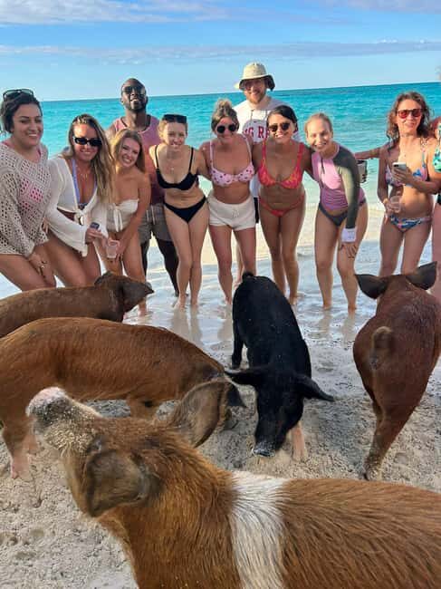 Nassau: Full-Day Party Catamaran with Private Beach & Lunch - Who Will Love This Tour?