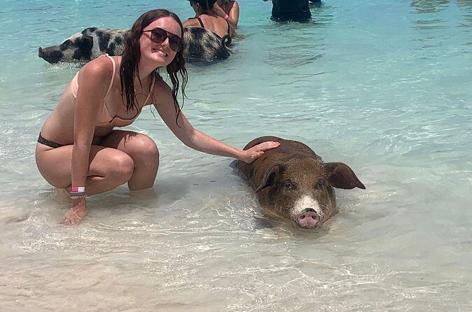 Nassau: Half Day Reef Snorkeling, Turtles & Swimming Pigs - FAQ — Practical Questions Answered
