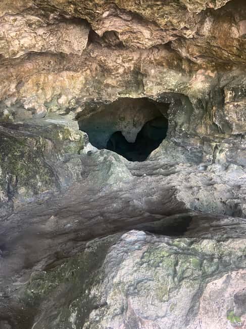 Nassau: Historic City Tour with Drink and Food Tasting - Key Points