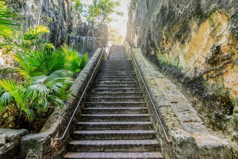 Nassau Mystery & Nature Tour: Bat Caves, Trails & Legends - Who Will Love This Tour?