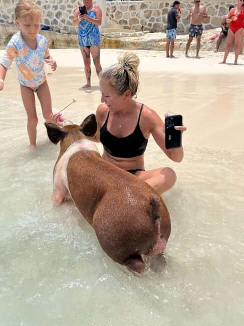Nassau: Pigs, Snorkel, Turtles, Lunch, Private Beach Club - A Closer Look at the Nassau Tour: What You Can Expect