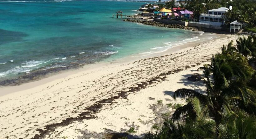 Nassau Private Beach-Hopping Tour: Soft Sands & Ocean Vibes - An Authentic Beach Day in Nassau