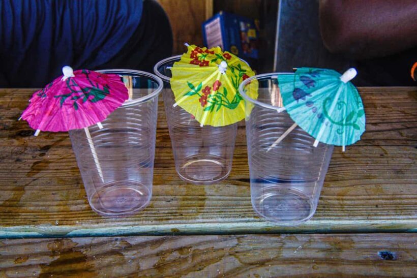 Nassau: Private Island & Snorkeling, Turtles, Drinks, & BBQ - FAQ