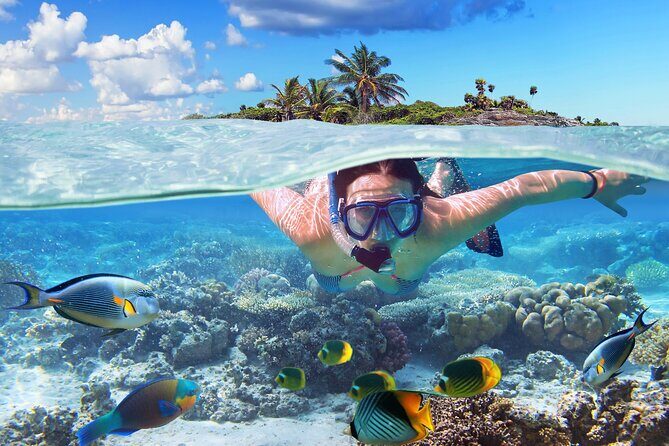 Nassau: Private Island & Snorkeling, Turtles, Drinks & BBQ - Introducing the Nassau Private Island & Snorkeling Tour