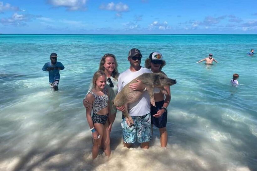 Nassau: Private Swim with Pigs and Snorkeling Adventure - Key Points
