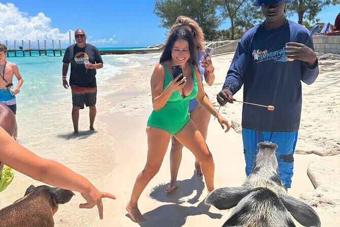 Nassau, Private Swimming Pig, Island Hopping, Snorkeling, Turtles - Discover Nassau’s Marine Wonders