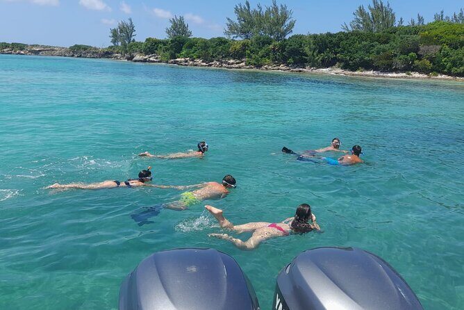 Nassau, Private Swimming Pig, Island Hopping, Snorkeling, Turtles - The Experience from Guest Reviews