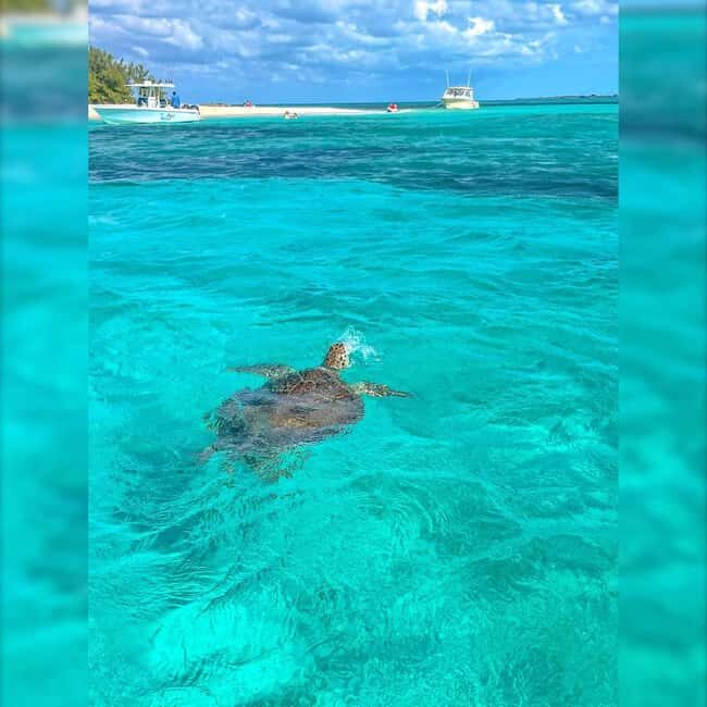 Nassau: Rose 3-Island Tour with Snorkeling and Lunch - FAQs