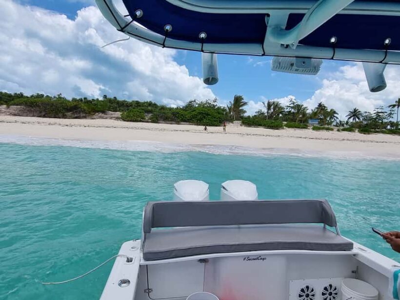 Nassau: Rose Island Swimming Pigs & Turtles Snorkeling Tour - Key Points