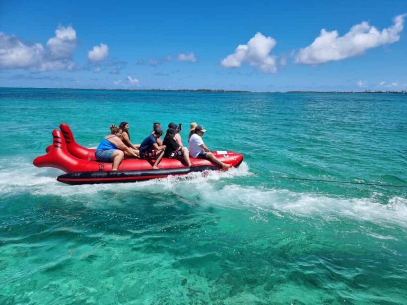 Nassau: Rose Island Swimming Pigs & Turtles Snorkeling Tour - Final Thoughts