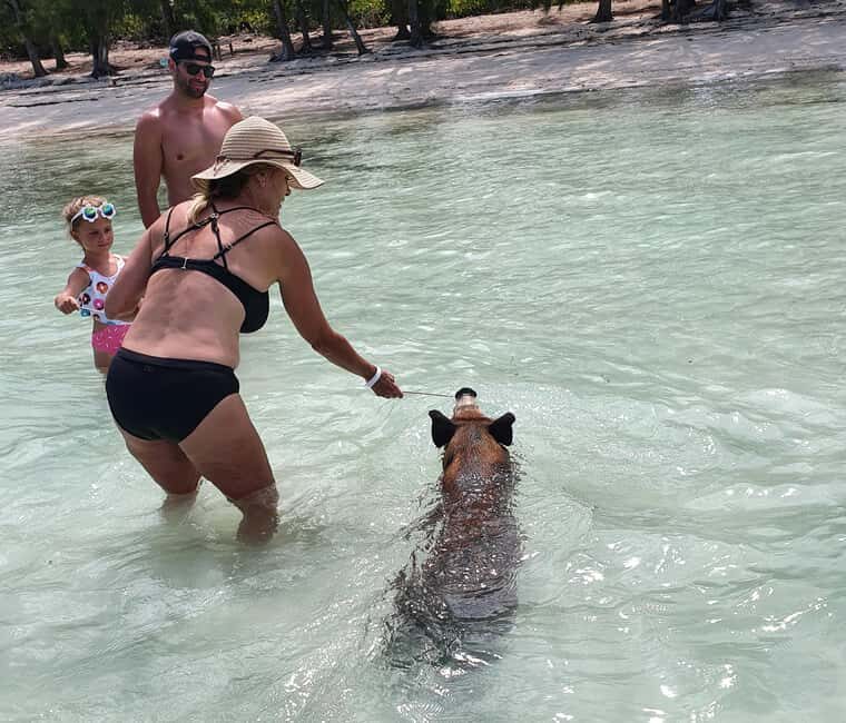 Nassau: Rose Island Swimming Pigs & Turtles Snorkeling Tour - Frequently Asked Questions