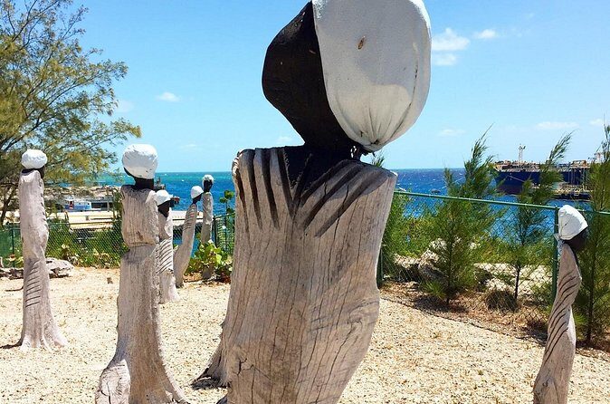 Nassau Scooter Adventure Tour - Who Should Consider This Tour?