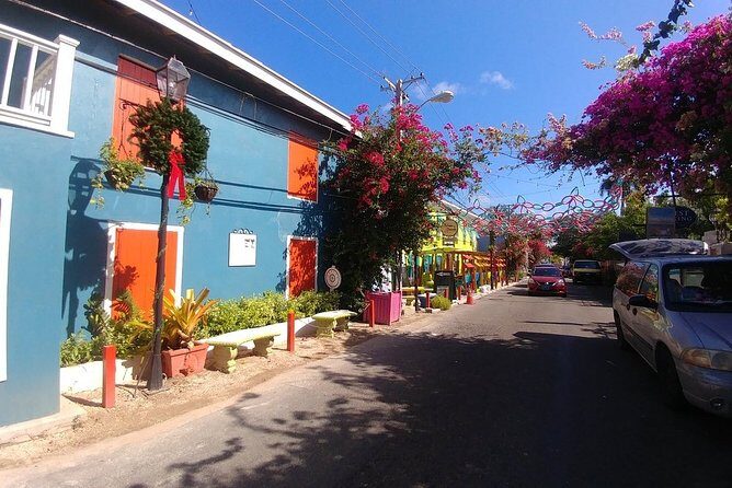 Nassau Shore Excursion: Sightseeing and Snorkeling Tour - What the Reviews Reveal