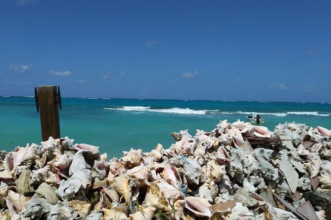 Nassau Shore Excursion: Sightseeing and Snorkeling Tour - Final Thoughts