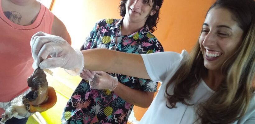 Nassau: Sip, Sample & See, Food & History Bus Tour - An Authentic Taste of Nassau: What to Expect