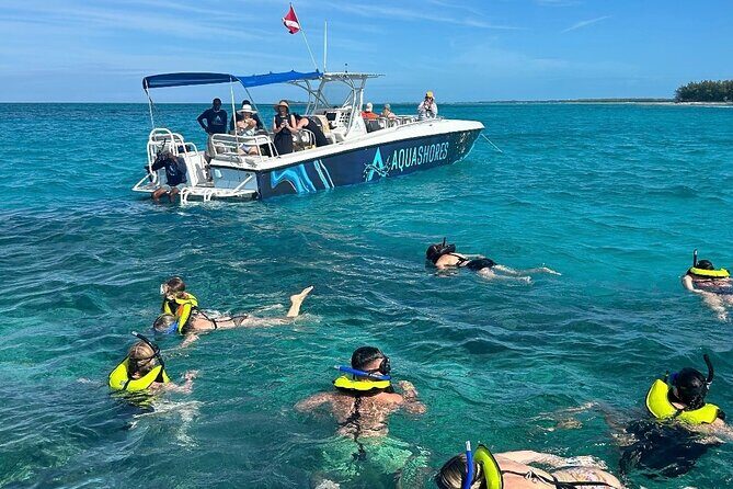 Nassau Snorkeling, Turtle Spotting and Sunset tour - Who Will Love This Tour?