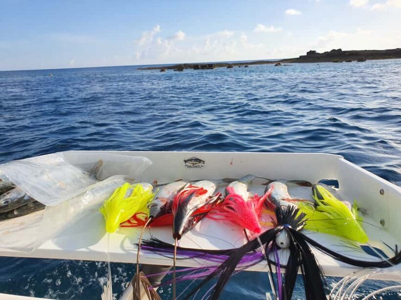 Nassau: Sport-fishing private charter . - An In-Depth Look at the Nassau Sport-Fishing Private Charter