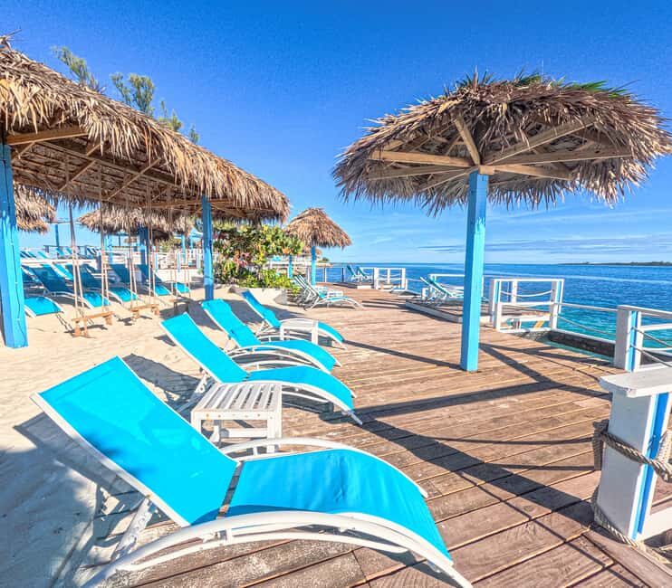 Nassau: Sun Cay Day Trip, Snorkel, Iguana Encounter, & Lunch - Wildlife Encounters at the Iguana Habitat