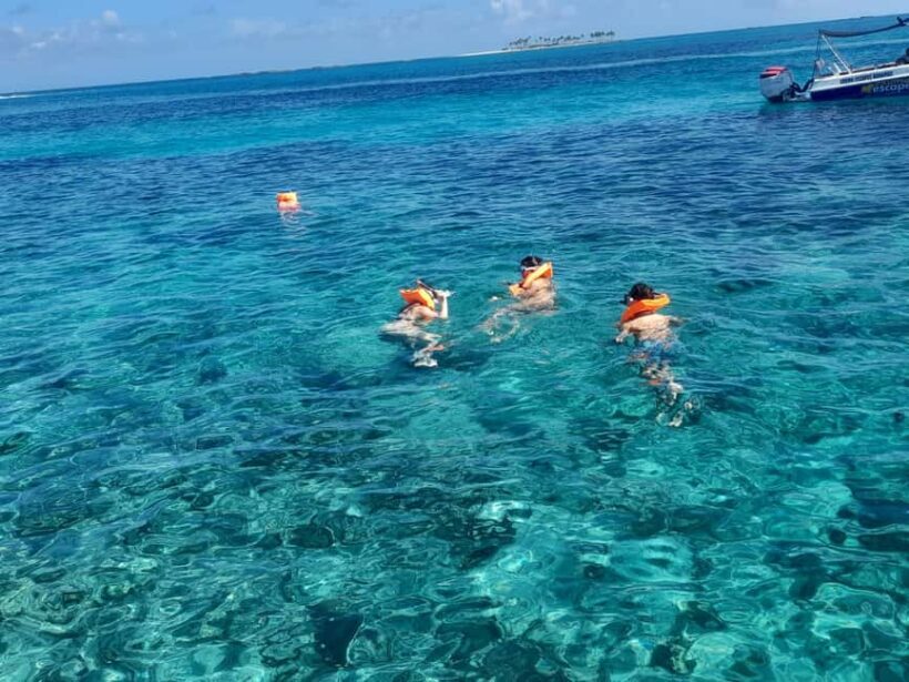 Nassau: Swimming Pigs Private Boat Tour - Up to 7 Persons - Key Points