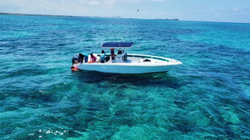 Nassau: Swimming Pigs Private Boat Tour - Up to 7 Persons - Authentic Experiences and Practical Tips
