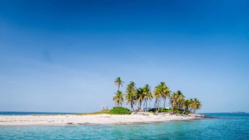 Nassau: Swimming Pigs, Snorkel and Lunch by Speed Boat - The Sum Up