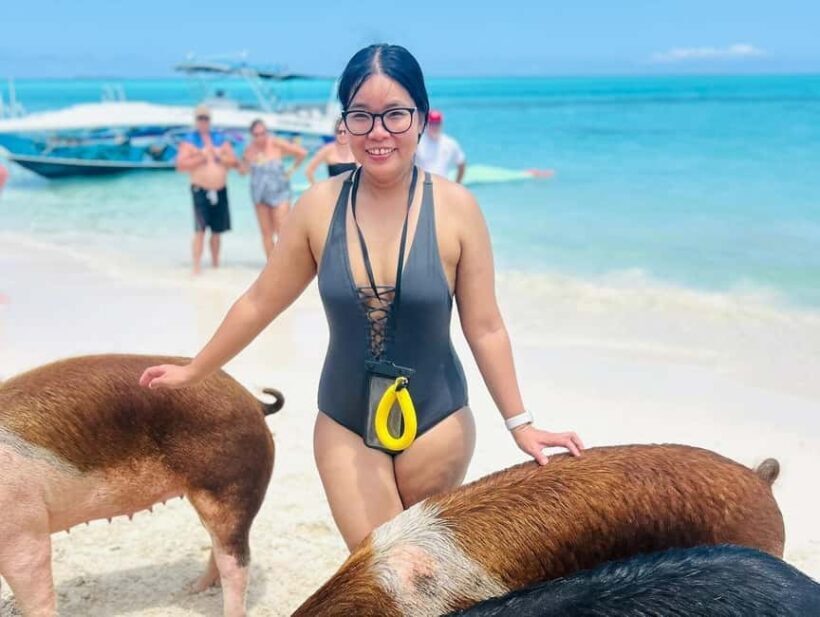 Nassau: Swimming Pigs, Turtles, Snorkel & More - An Overview of What You’ll Experience