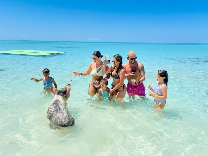 Nassau: Swimming Pigs, Turtles, Snorkel & More - Practical Details and Traveler Tips