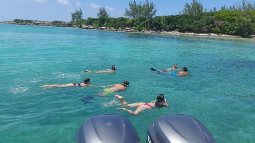 Nassau: Swimming with Pigs, Snorkeling, and Sightseeing Tour - Who Will Love This Tour?