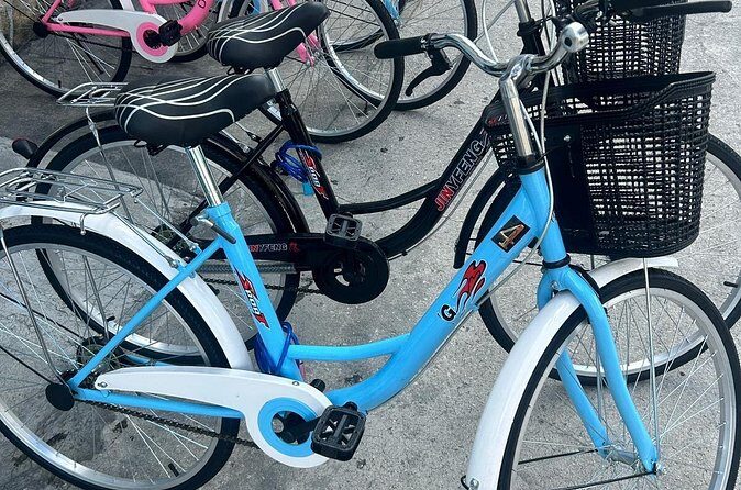 Nassaushores Bicycle Rentals - FAQ