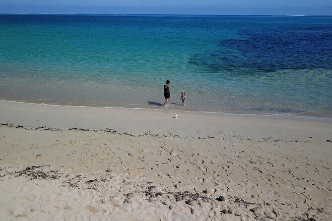 Natadola Beach Half Day Private Excursion from Nadi/Denarau - Who Will Love This Tour?