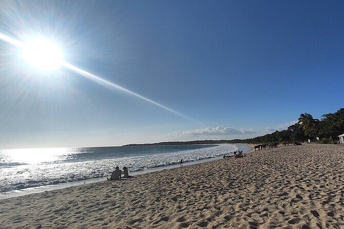 Natadola Beach Half Day Private Excursion from Nadi/Denarau - FAQ
