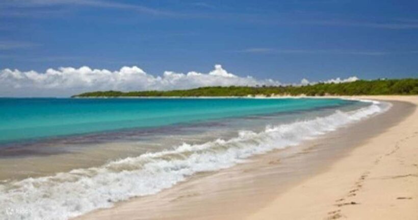 Natadola Beach Tour With Tifajek Mud Pool & Hotspring - Wellness and Relaxation