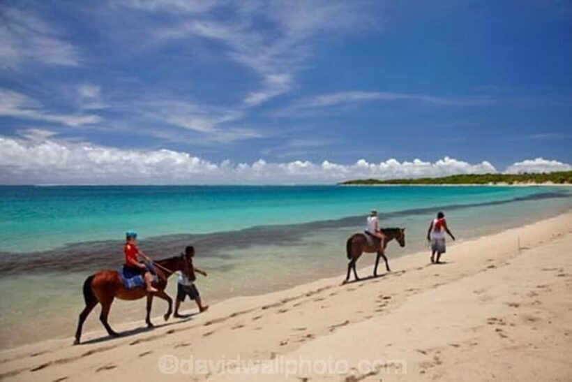 Natadola Beach Tour With Tifajek Mud Pool & Hotspring - FAQ