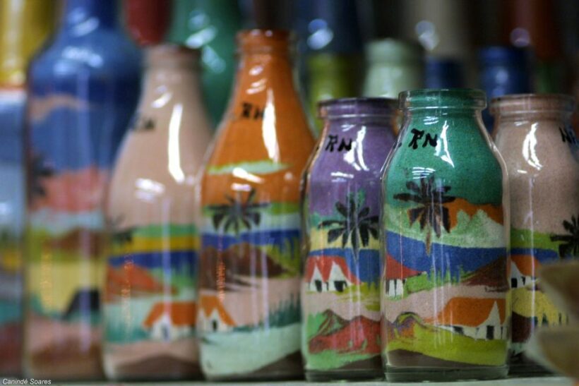 Natal and South Coast Full-Day City and Beach Tour - An Overview of the Tour Experience