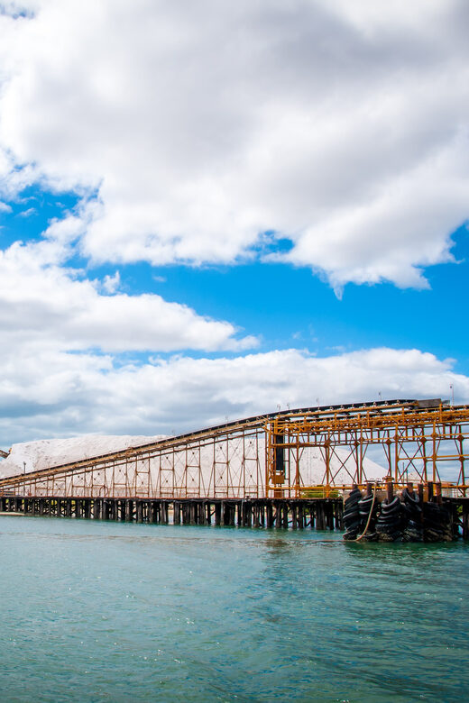 Natal: Galinhos Beach and Salt Flats Full-Day Tour - Who Is This Tour For?