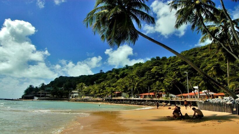 Natal: South Coast Day Tour by 4X4 with Pickup - Discovering Natal’s South Coast: A Practical Look