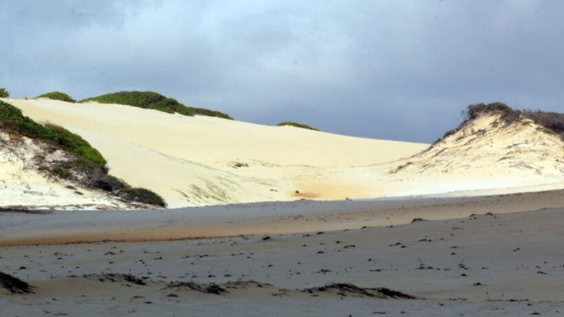 Natal: South Coast Day Tour by 4X4 with Pickup - The Practicalities: What’s Included and What’s Not