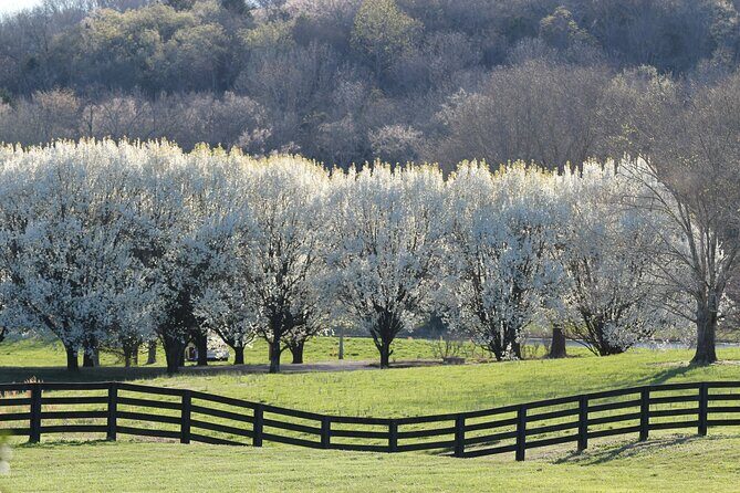 Natchez Trace Parkway Self-Guided Driving Audio Tour - Final Thoughts
