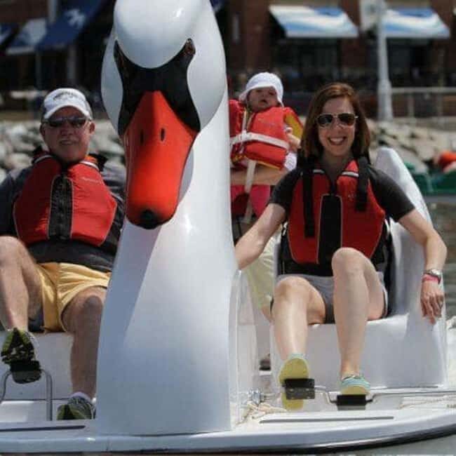 Natick: Lake Cochituate Pedal Boat Rental - Key Points
