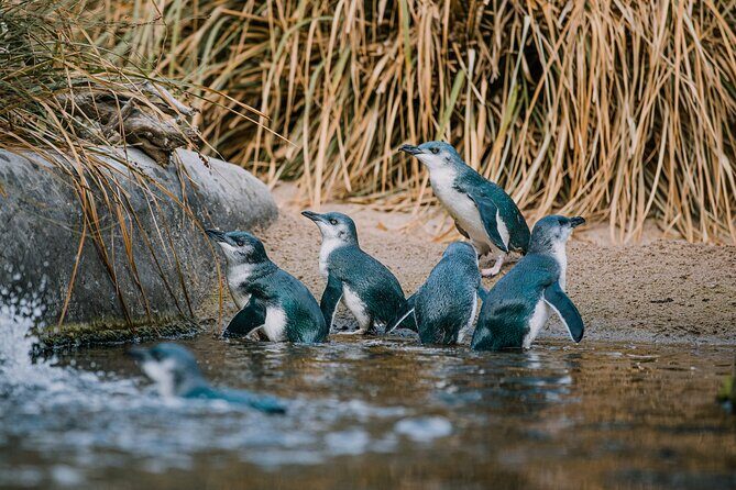 National Aquarium of New Zealand in Napier General Admission - Key Points