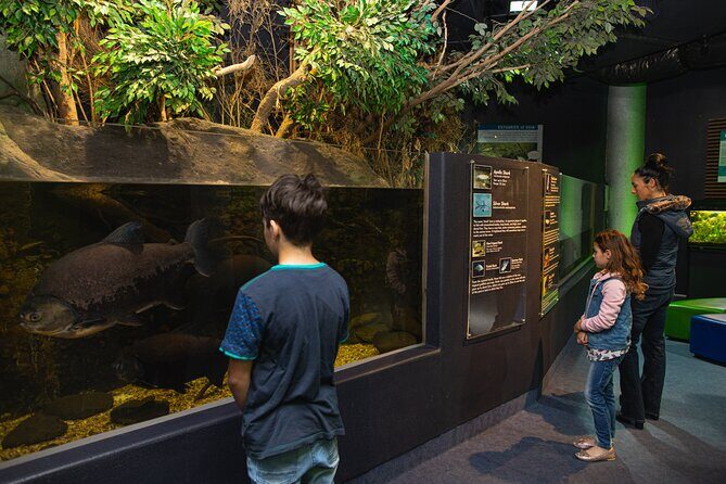 National Aquarium of New Zealand in Napier General Admission - FAQs