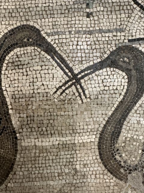 National Archaeological Museum of Naples Private Guided Tour - Exploring the National Archaeological Museum of Naples Private Guided Tour