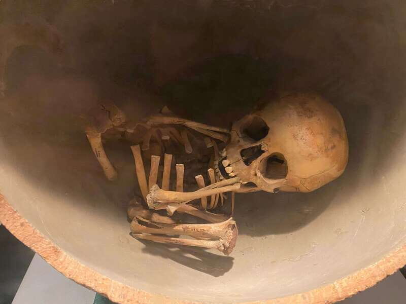 National Museum of Anthropology: A Journey into Mexico's Past-Spanish Language - A Deep Dive into the Experience