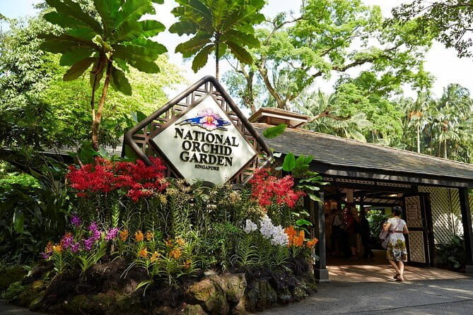 National Orchid Garden Entry Admission Pass - Exploring the National Orchid Garden