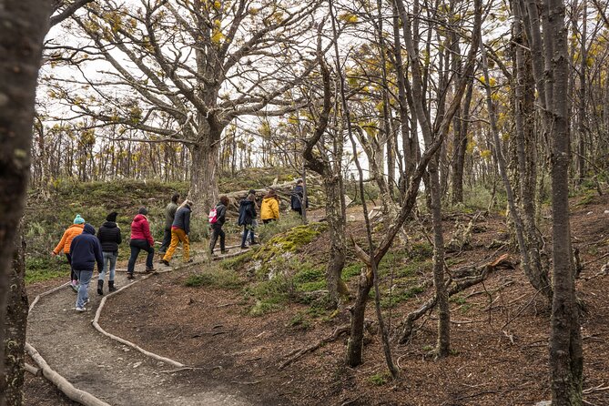 National Park and Train Trip End of the World Guided Tour - Considerations for Improvement